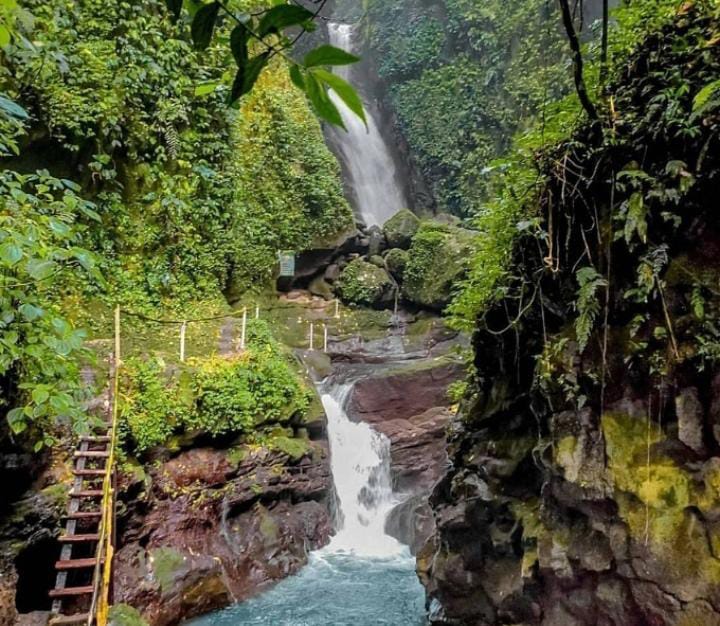 Curug Walet Pamijahan, Wisata Alam Tersembunyi di Kaki Gunung Salak ...